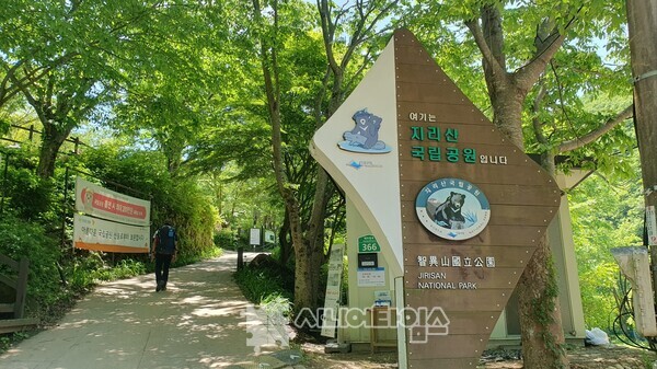 계절의 여왕인 5월에 지리산에 오르다